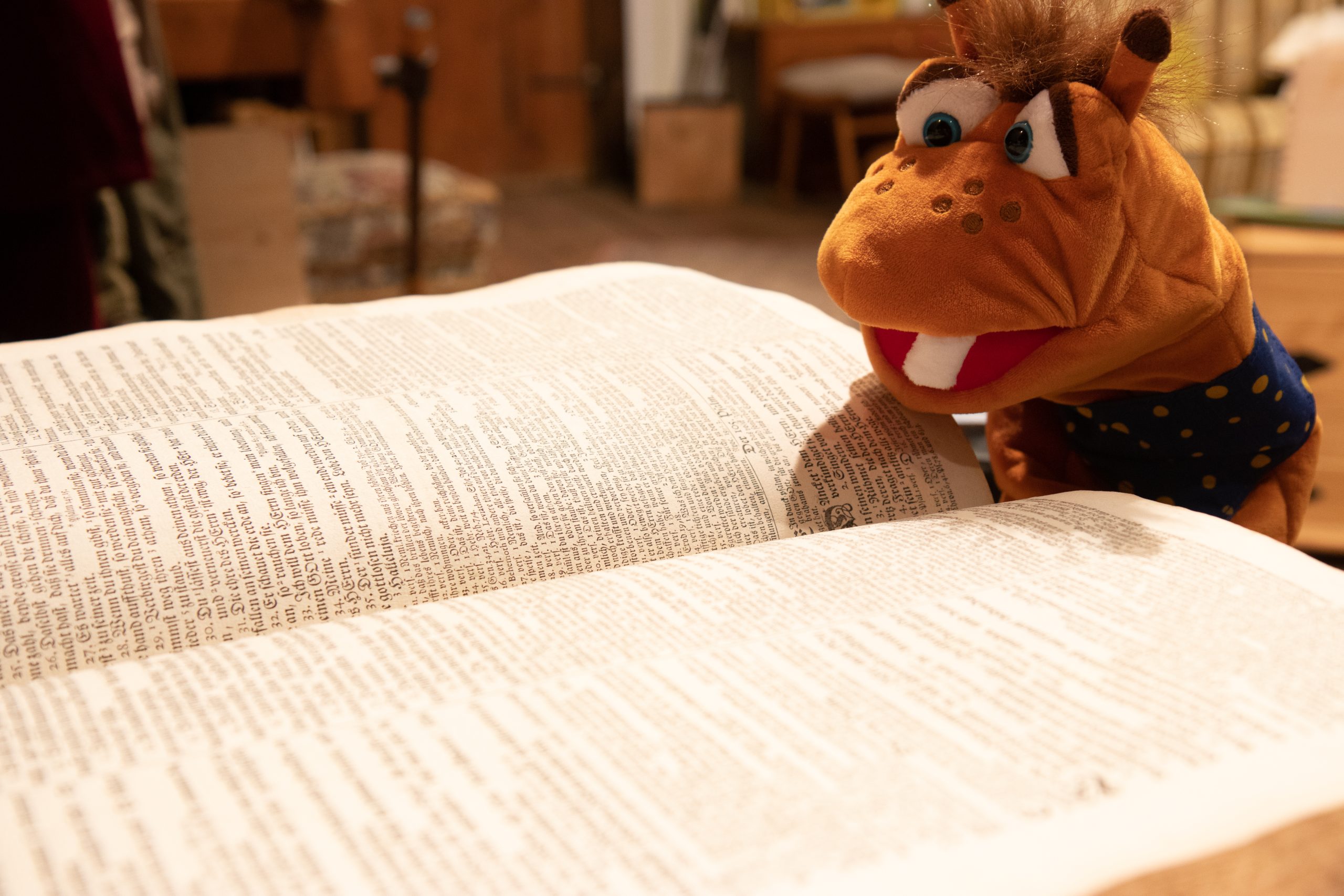 Fribos Dachboden | Hope Kurse